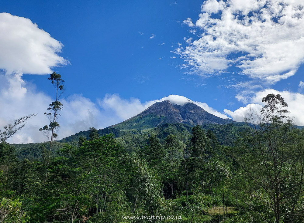MAU MELIHAT GUNUNG MERAPI DARI DEKAT TANPA MENDAKI? KE BUKIT KLANGON AJA…